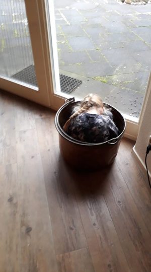 Kinderen die zichzelf 'verstoppen': het blijft grappig - LINDA.nl