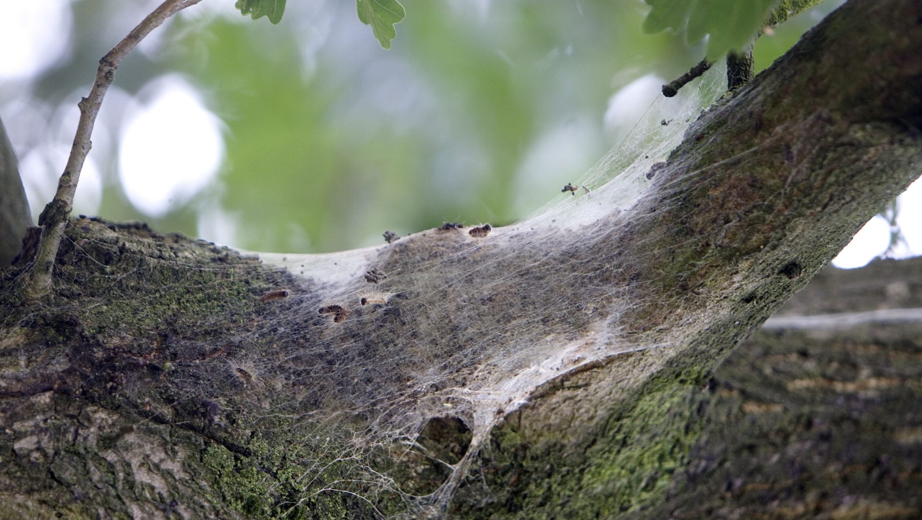 Voor al je brandende vragen: landelijk informatiepunt voor ...