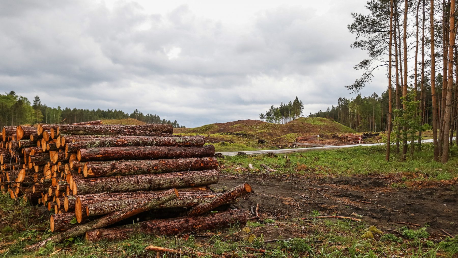'Mens gebruikt meer natuurlijke hulpbronnen dan de aarde voortbrengt ...