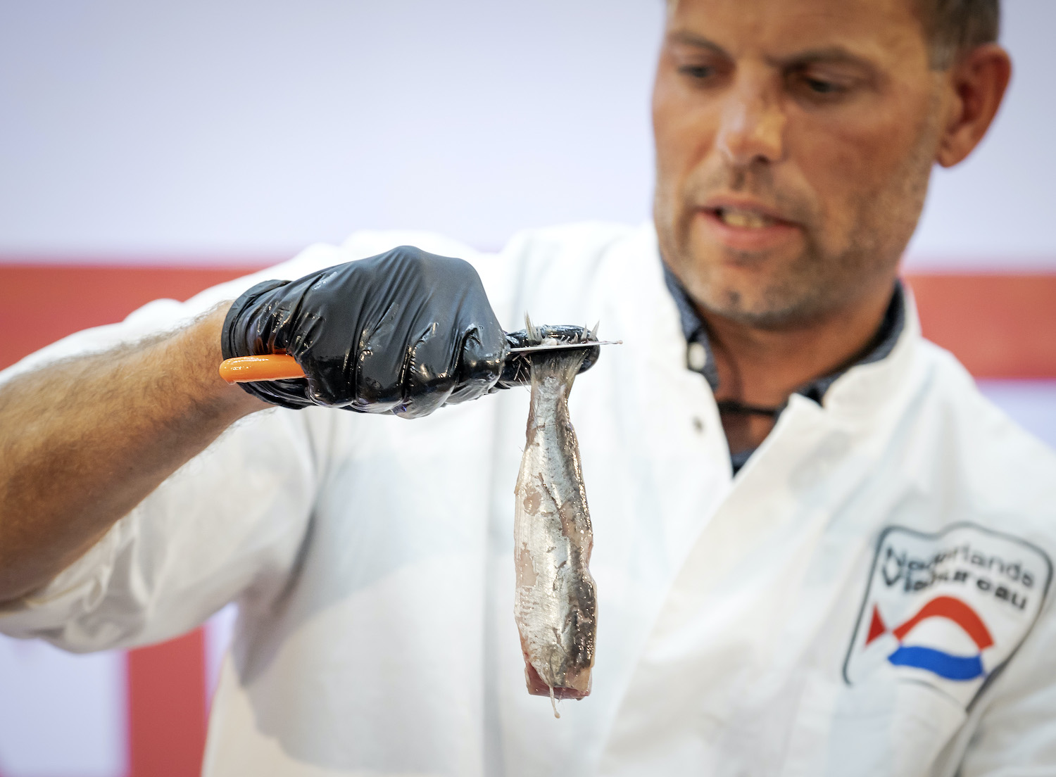 Eerste vaatje haring is voor de zorg dit jaar: hulpverleners ...