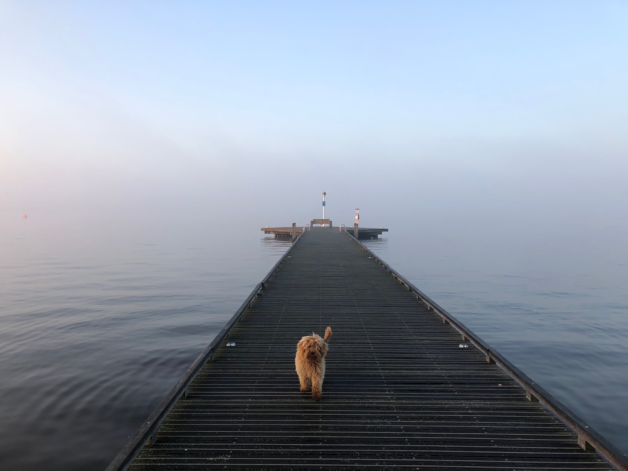 7 X Prachtige mistige foto's die de herfst inluiden - LINDA.nl