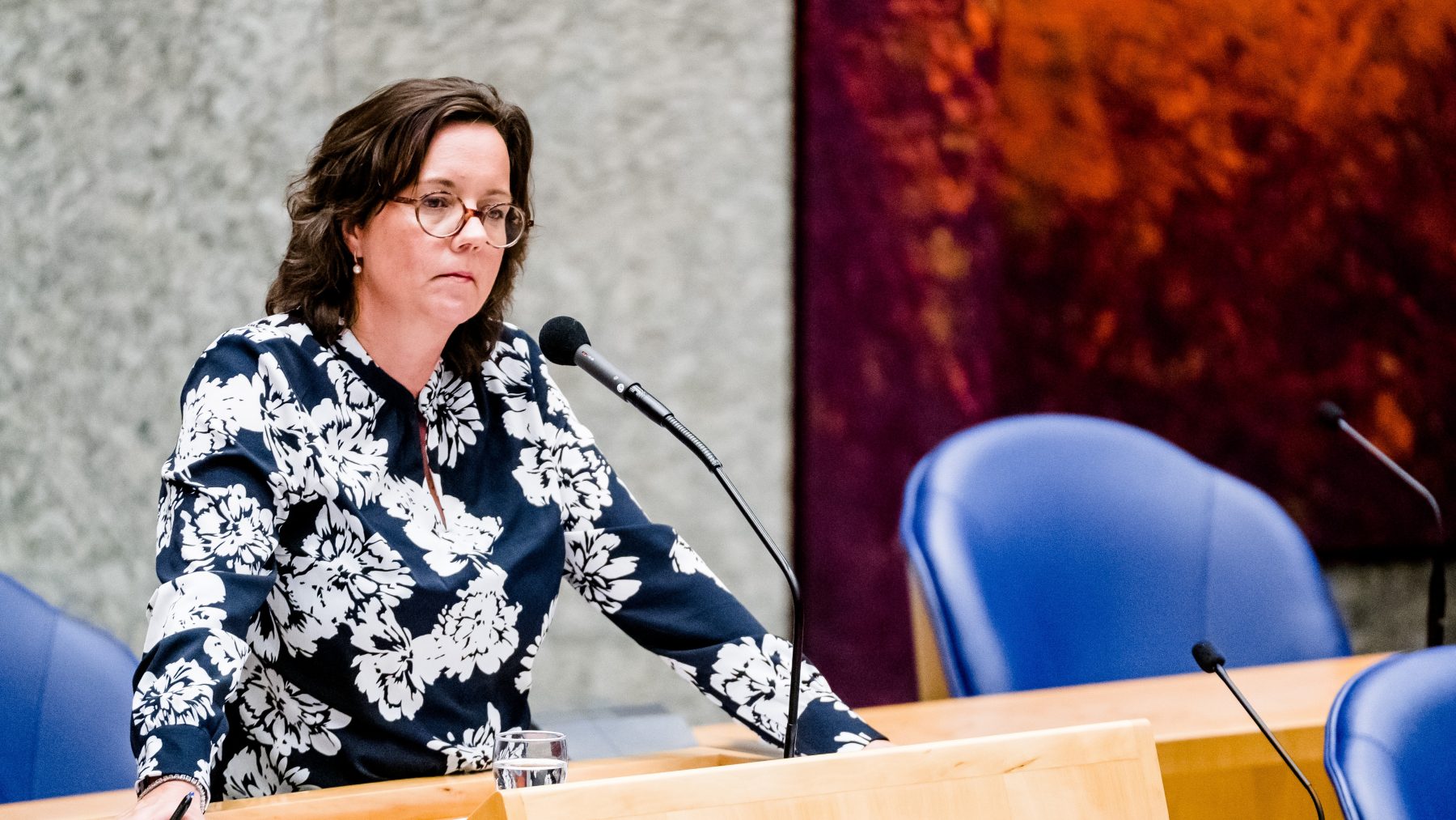 Zorgminister Tamara van Ark neemt zes weken rust wegens nekproblemen ...