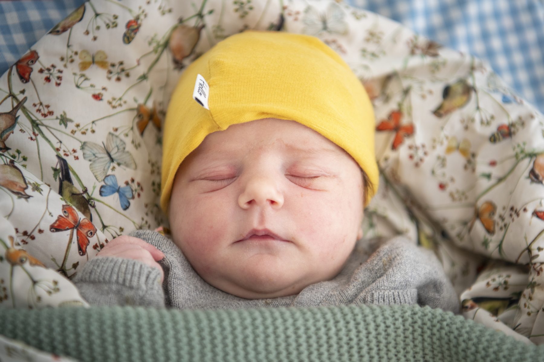 Annemarie uit 'Waar doen ze het van?': 'Veel kritiek op achtste baby ...