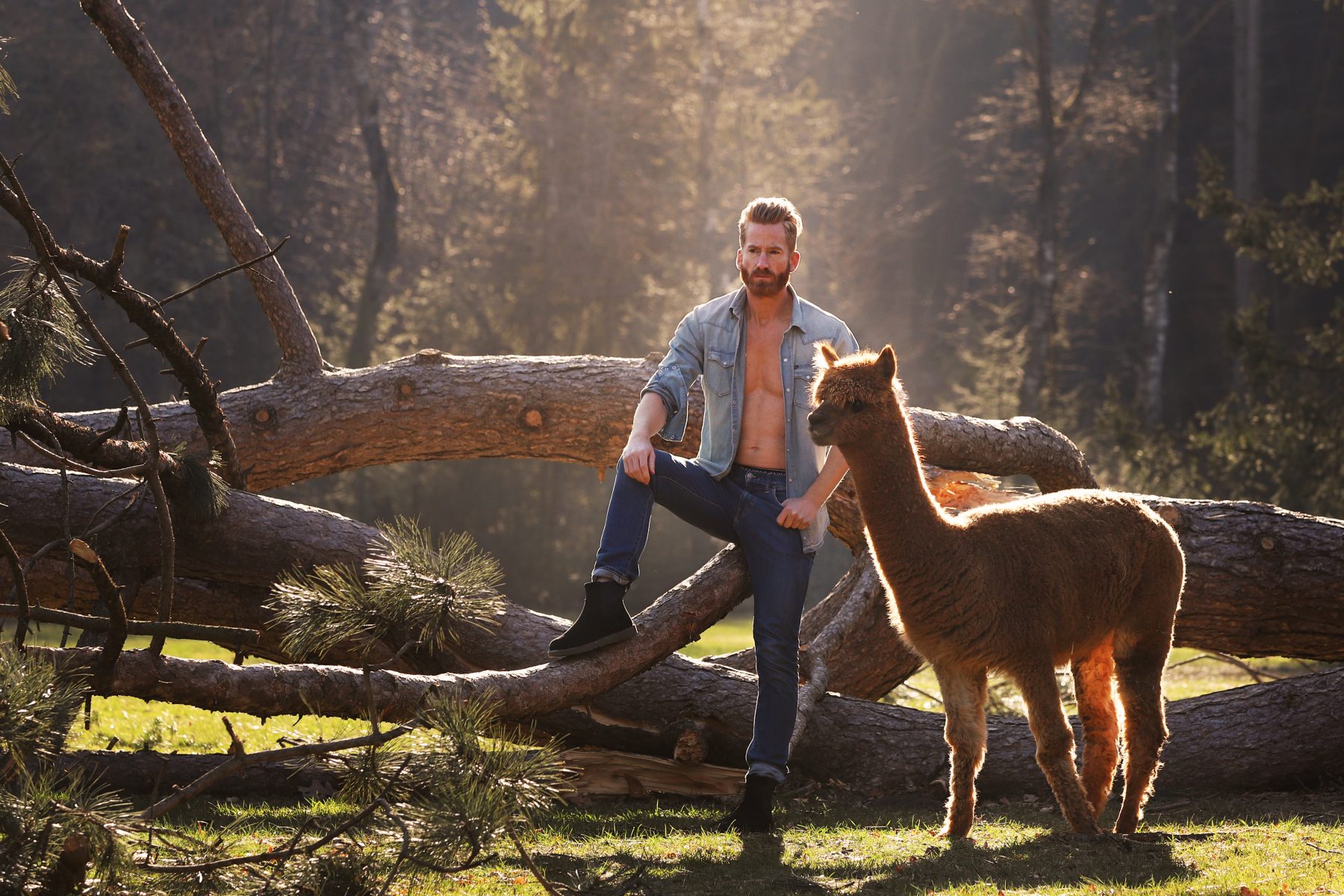 Knuffelen en kwijlen: Sabrina (33) brengt Alpaca en Hunk-kalender uit ...