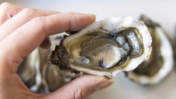 Nederlandse chef vindt parel in oester: 'In 32 jaar nooit eerder ...