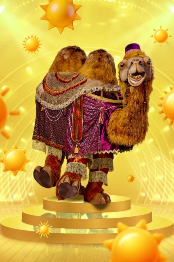 Wil je zien: dit zijn alle nieuwe pakken van 'The Masked Singer' - LINDA.nl